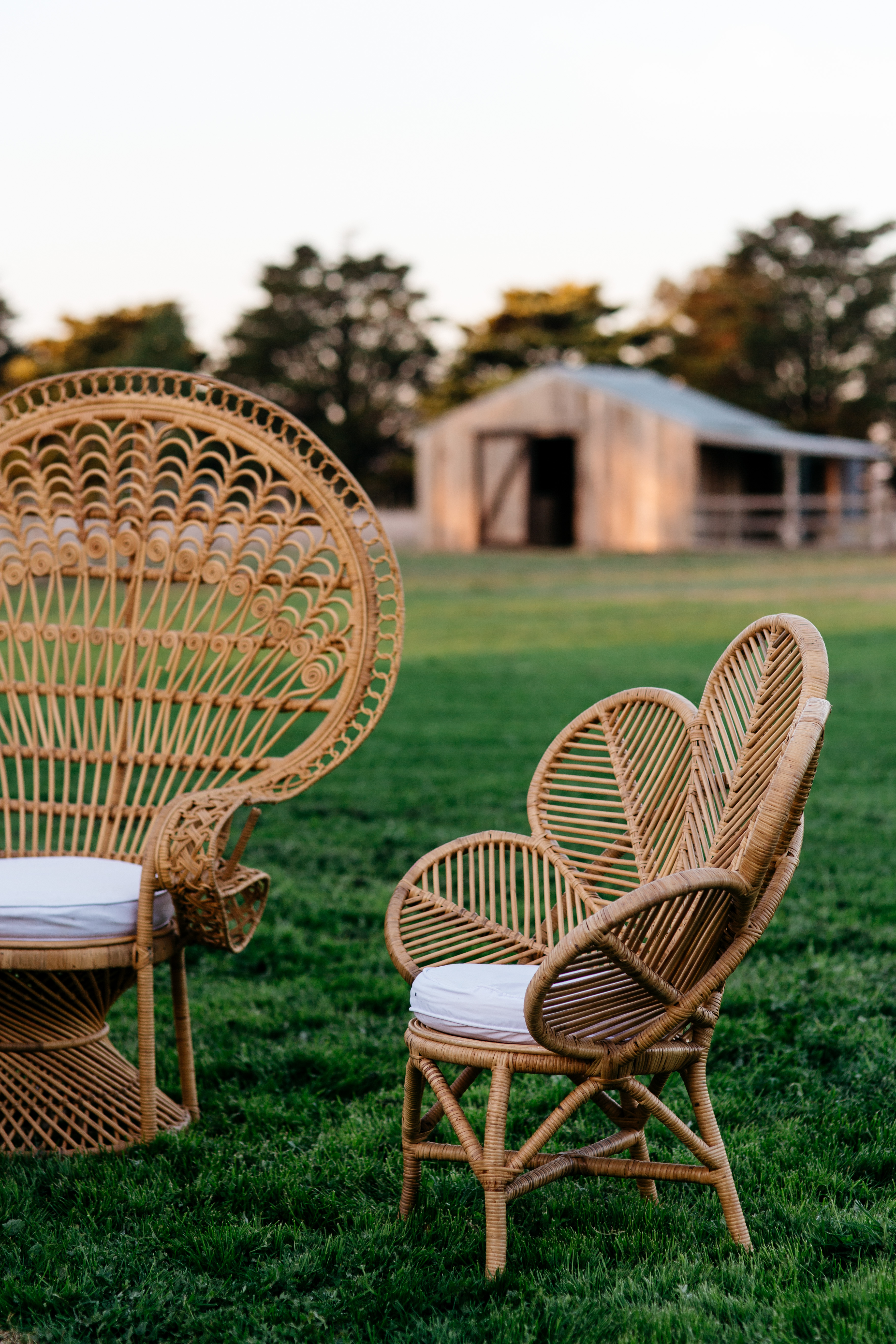 Gallery – Rocklea Farm