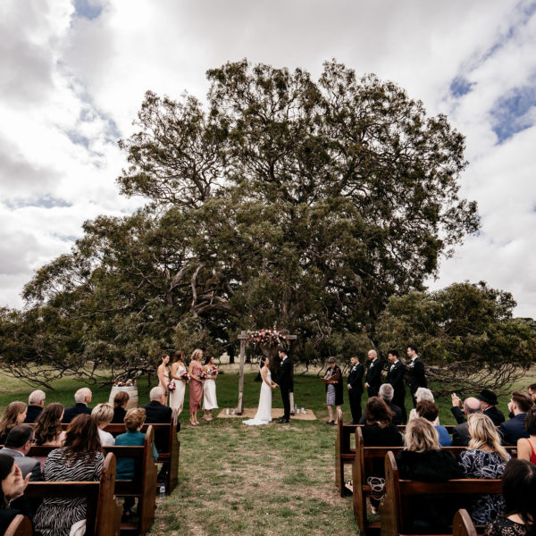 Gallery - Rocklea Farm