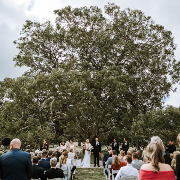 Gallery - Rocklea Farm