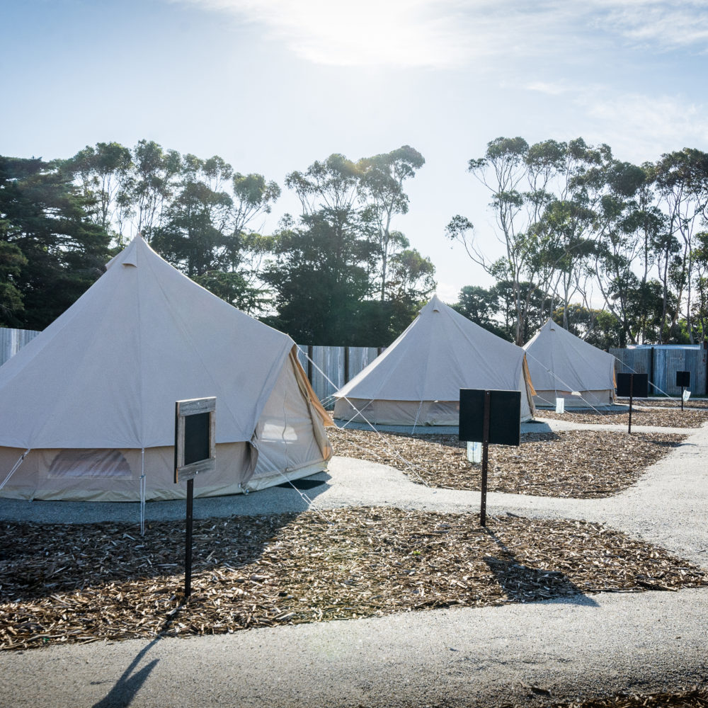 Gallery - Rocklea Farm