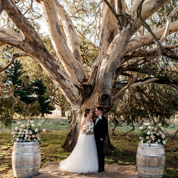 Gallery - Rocklea Farm